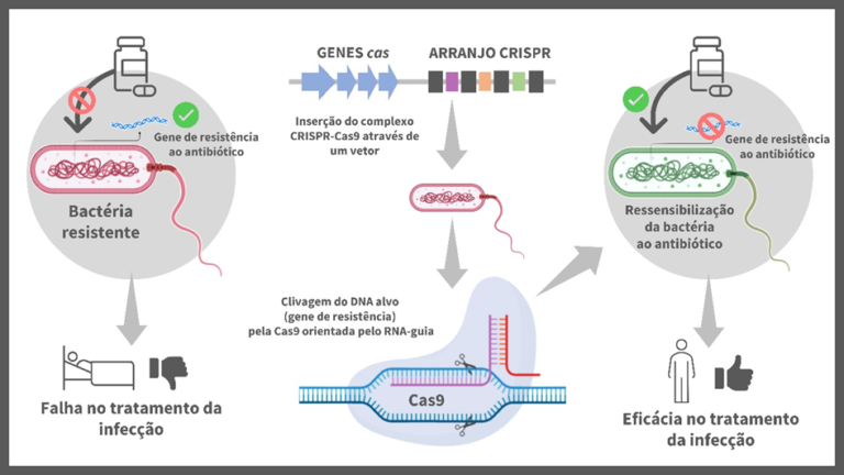 CRISPR-Cas9: uma perspectiva promissora no combate à resistência aos antibióticos - Instituto ...